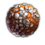 NSEA Protector - New Ship in Star Trek Fleet Command | Star Trek Fleet ...